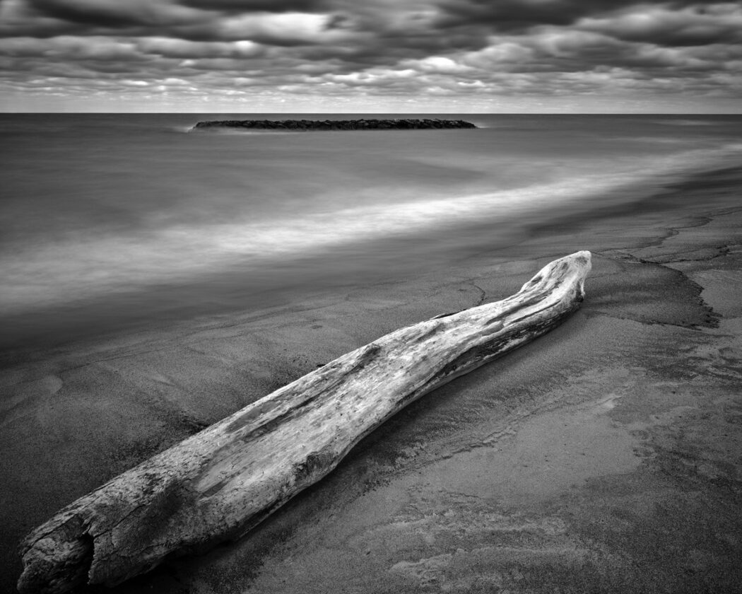 Crary Gallery to open exhibitions Saturday | News, Sports, Jobs - Times ...